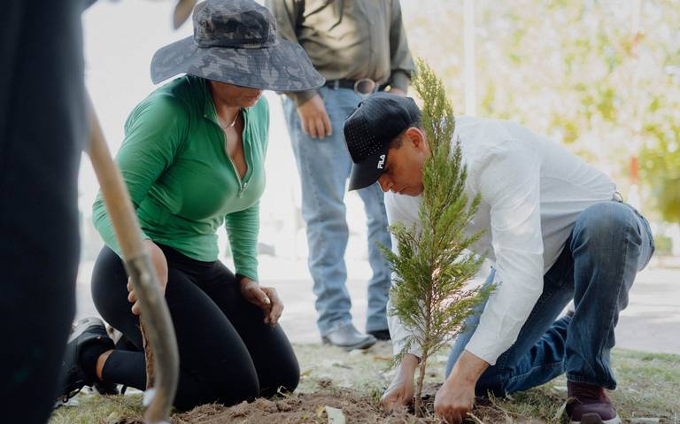 Reforesta Alejandro Pérez Cuéllar parques Melquiades Alanís, Hermanos ...