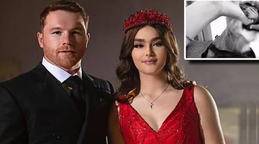 Critican a Emily, hija de Canelo por mostrar león que tiene de mascota ...