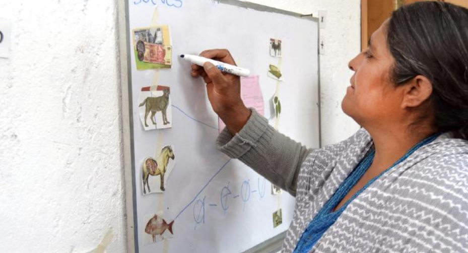 Lanza ICHEA Jornada de Alfabetización para jóvenes y adultos ...